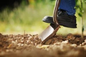 Improving Your Soil Structure - Gulley Greenhouse