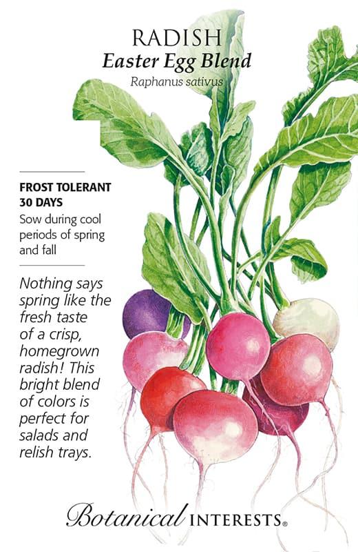 Radish, "Easter Egg Blend" Seeds - Gulley Greenhouse