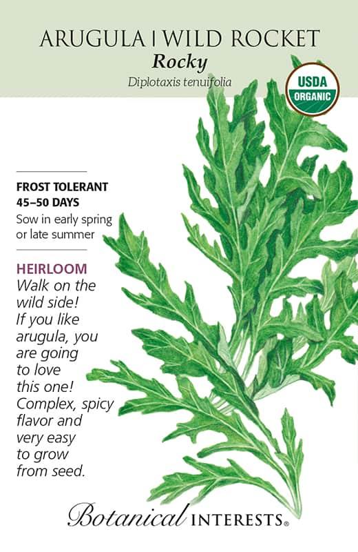 Arugula/Wild Rocket, "Rocky" Seeds - Gulley Greenhouse